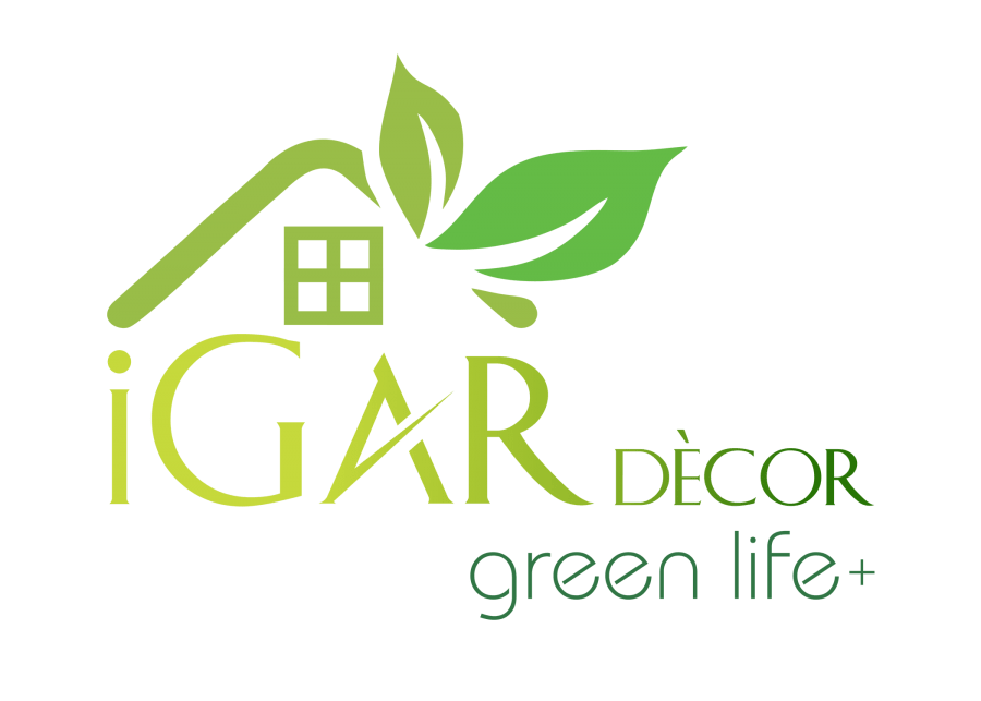 Blog Cây Cảnh - Hướng Dẫn Chăm Sóc Cây Cảnh Từ IGar Decor